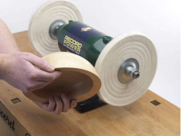 EPT Ireland. Record RPB8 8" Buffing Machine